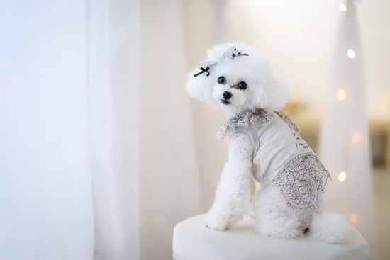 Je t'aime 11 – jetaime11.official